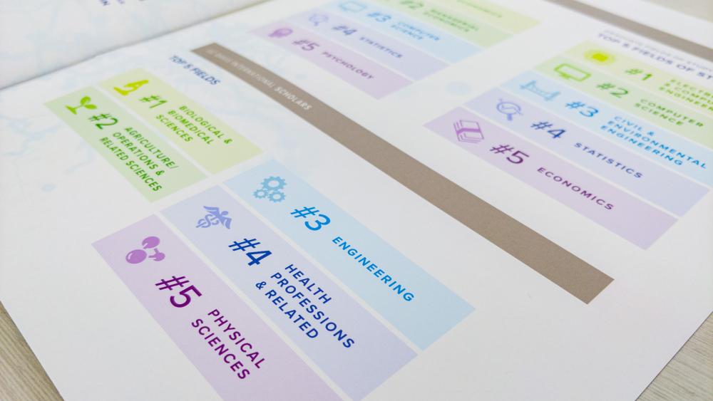 Design | Repro Graphics