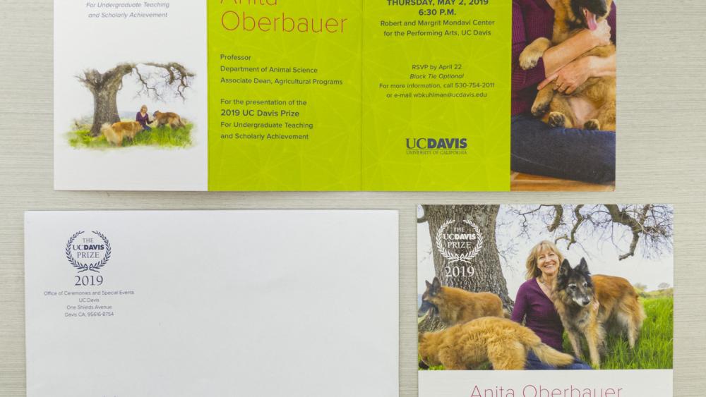 Design | Repro Graphics