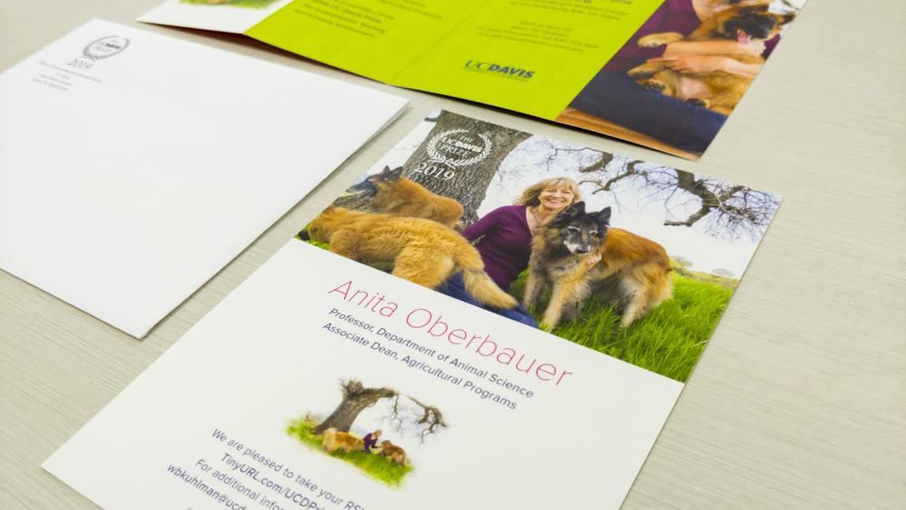 Design | Repro Graphics