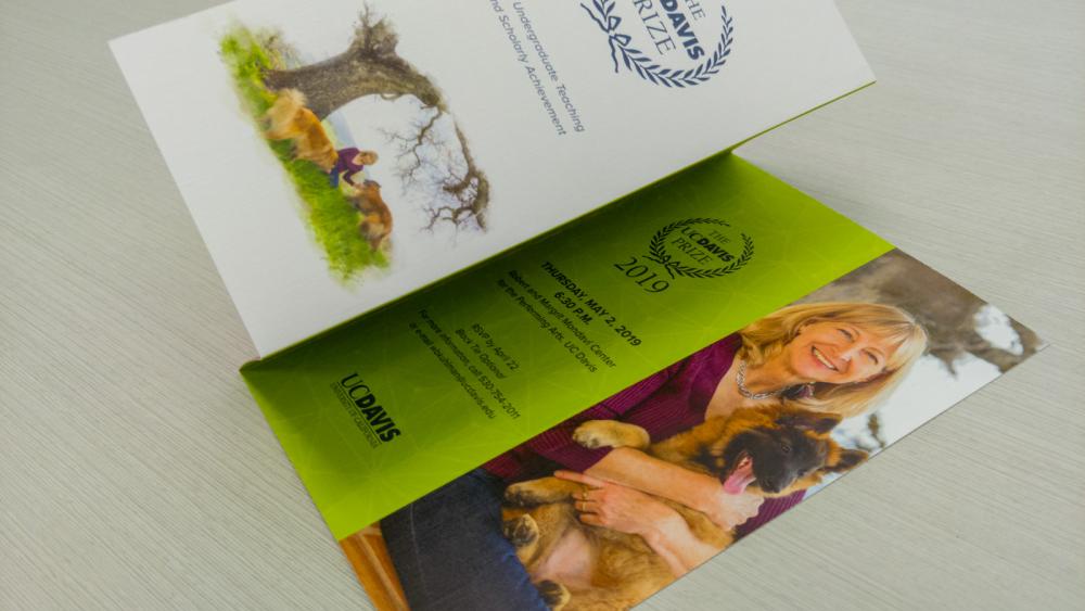 Design | Repro Graphics